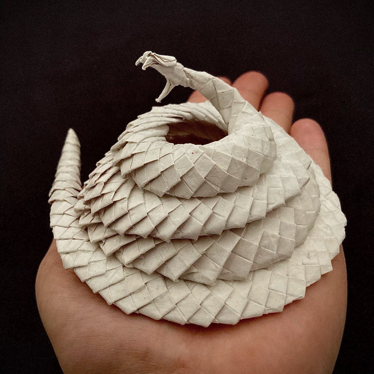 Alex Ray Origami – Bristol based Origami Artist and Tutor available for ...