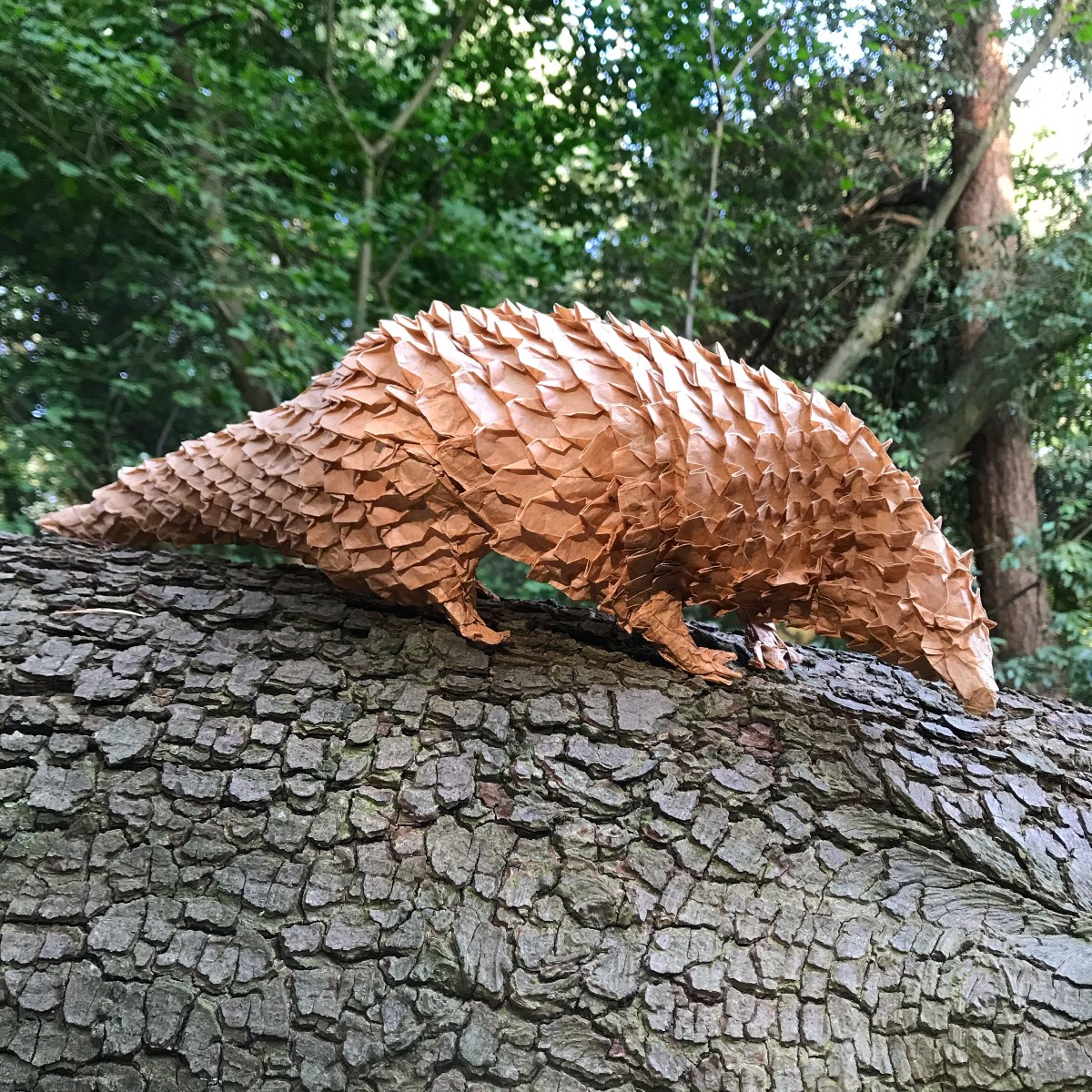 Alex Ray Origami – Bristol based Origami Artist and Tutor available for ...