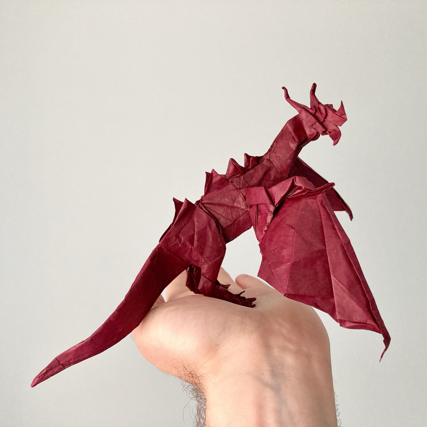 Alex Ray Origami – Bristol based Origami Artist and Tutor available for ...